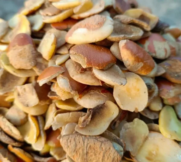 Whole Ogbono – Buy African Ogbono Seeds Online